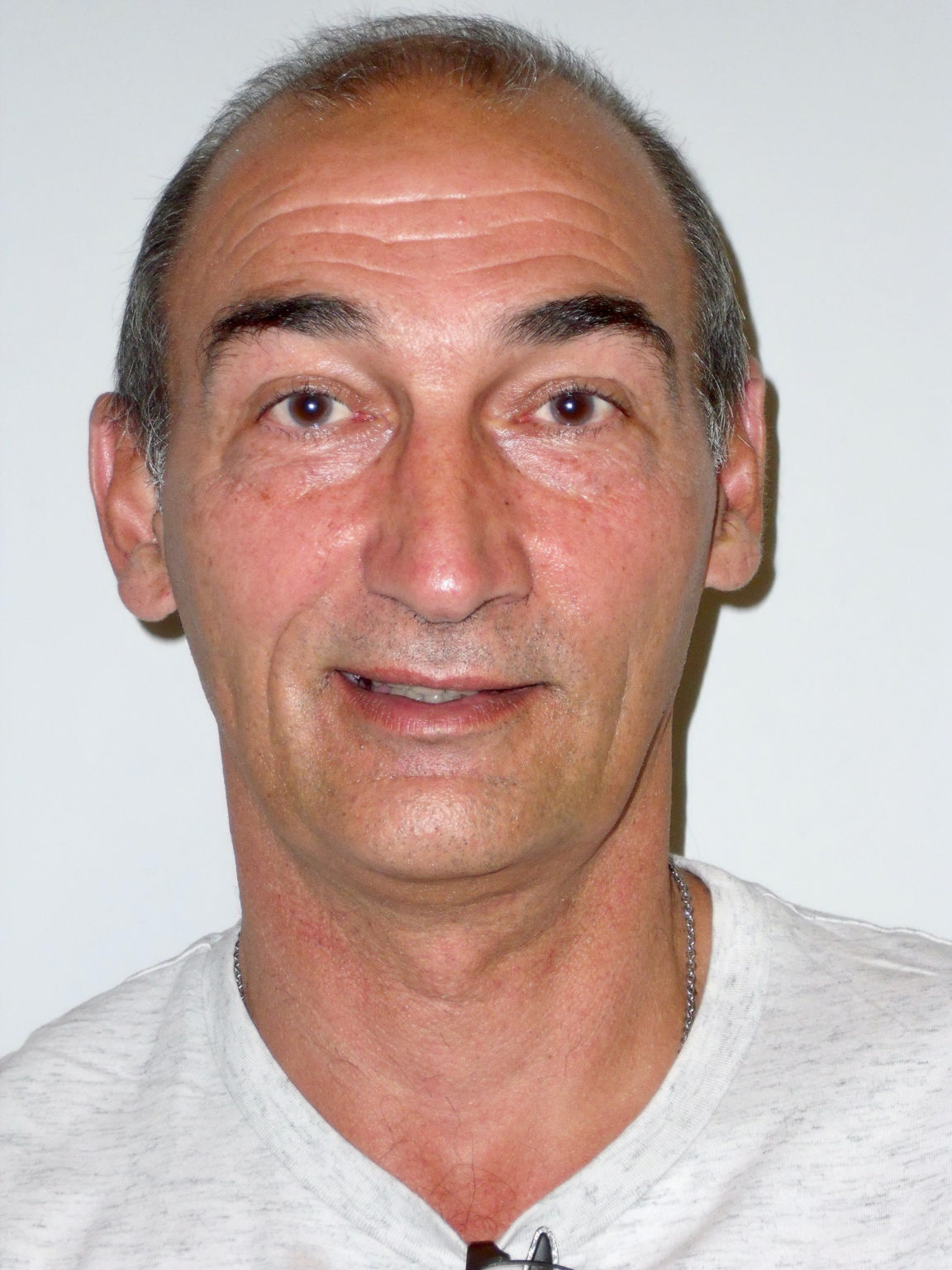 Le conseil municipal - www.mairie-chanas